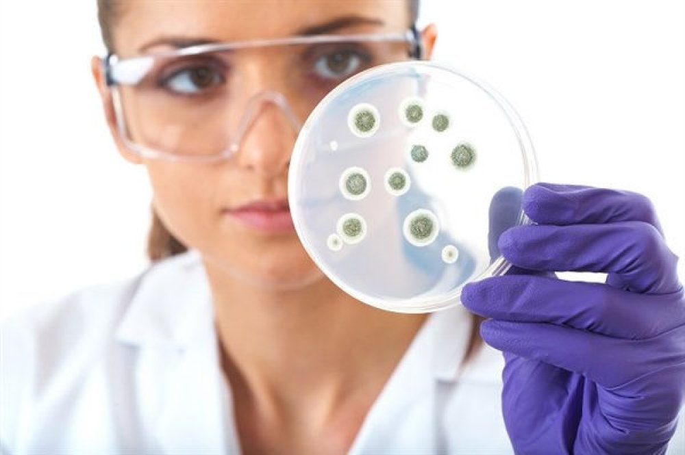 Medical Laboratory Technology